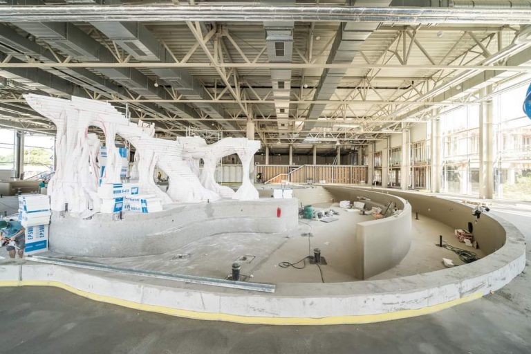 E oficial! Când are loc deschiderea Aquapark-ului AMAZONIA de la ...