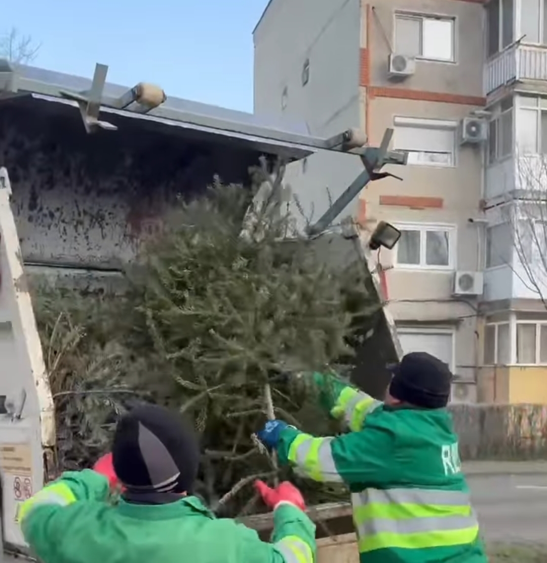 RETIM a colectat și trimis spre reciclare o cantitate record de brazi ...